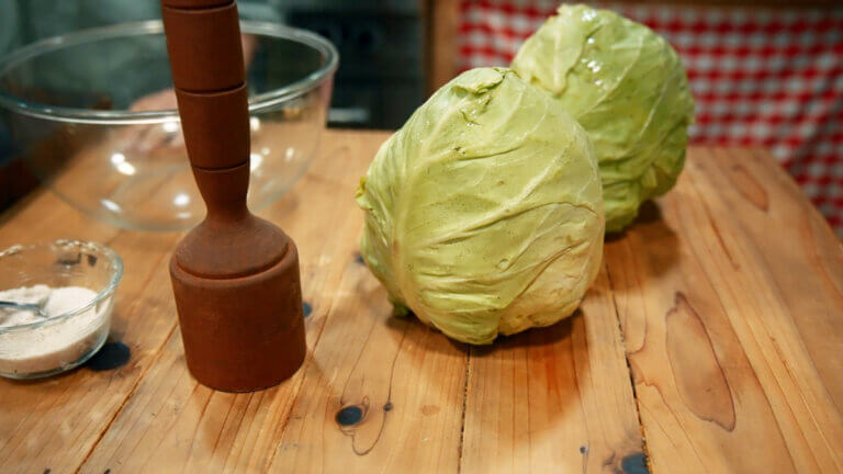 Homemade Probiotics (In Capsule Form) — Homesteading Family