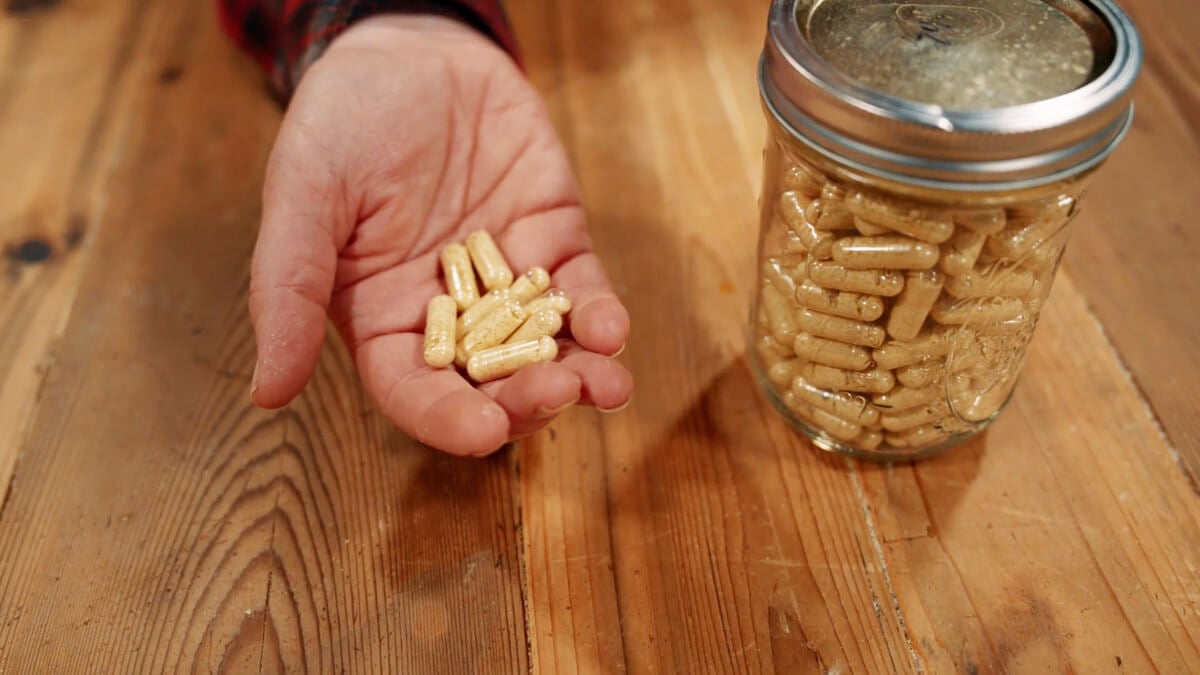 Homemade Probiotics (In Capsule Form) — Homesteading Family