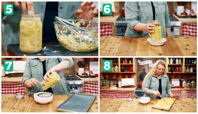 Homemade Probiotics (In Capsule Form) — Homesteading Family