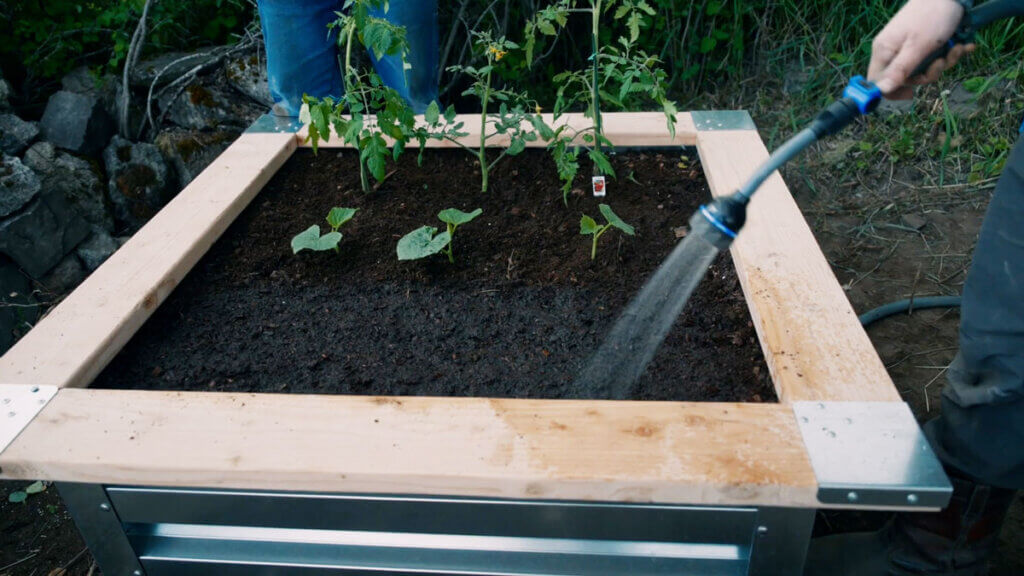 Raised Bed Gardening Ideas (A Beginner's Guide) — Homesteading Family
