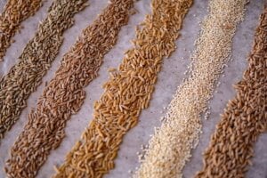 Ancient Grains & Regenerative Agriculture — Homesteading Family