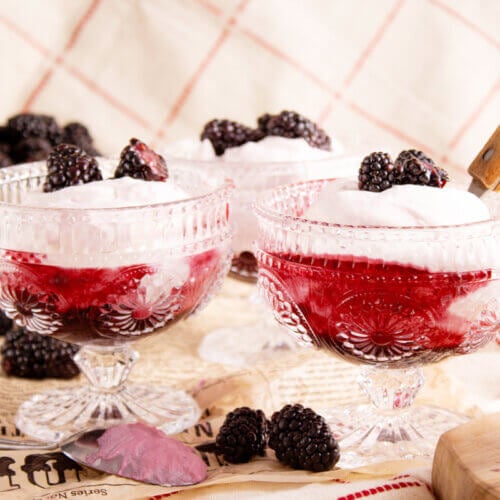Blackberry Fool - An English Summer Dessert — Homesteading Family