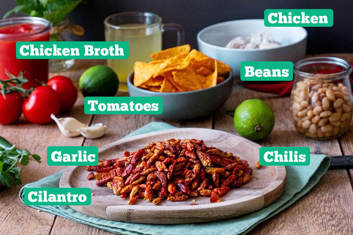 Cozy Chicken Chili with Black Beans (Homemade Chili Paste Recipe ...